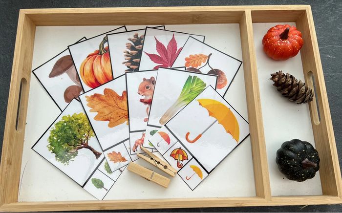 Cartes à pinces automne - Montessori - 24 mois | Beebs