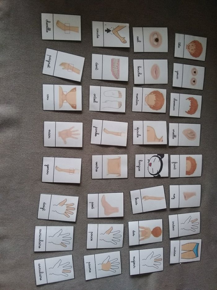 Nomenclature du corps humain - Montessori | Beebs