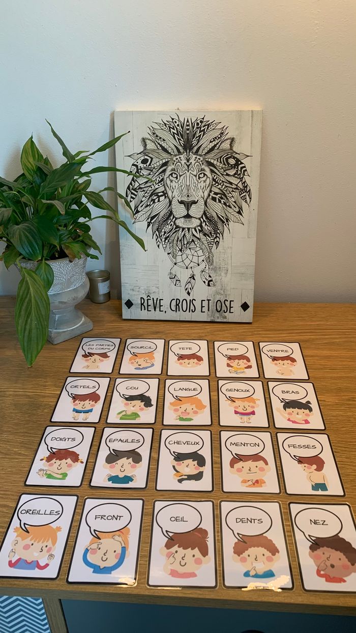 Lot de Cartes nomenclature : Achat occasion | Apprendre à lire, écrire ...