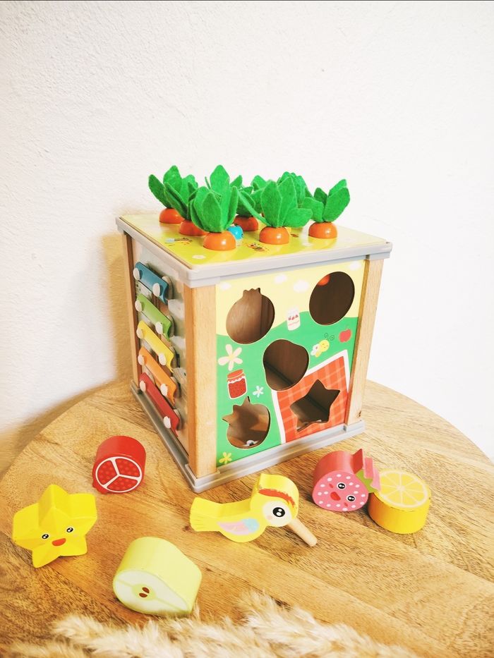 🥕Gros Cube multi activités 6 en 1 formes à encastrer xylophone en bois ...
