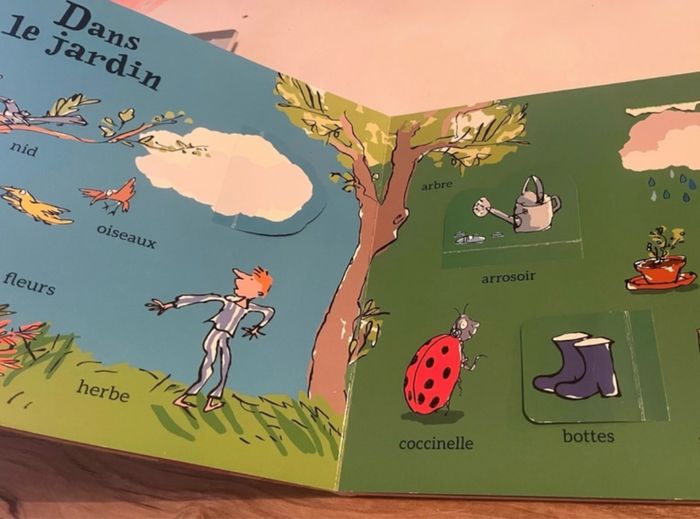 Livre à rabats Mes 101 premiers mots - Roald Dahl - Gallimard Jeunesse - Gallimard Jeunesse | Beebs