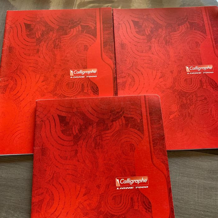 Lot 3 cahiers rouges - Calligraphe | Beebs