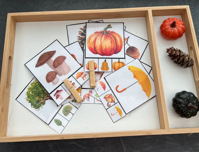 Cartes à pinces automne - Montessori - 24 mois | Beebs