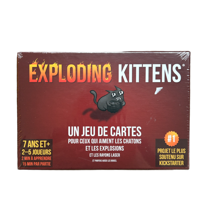 Exploring Kittens | Beebs by Kiabi