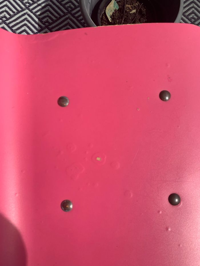 Chaise enfant IKEA rose : Achat occasion | Meubles de rangement Ikea ...