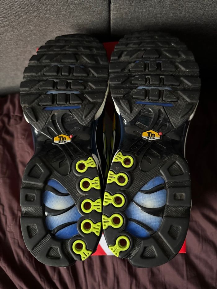 Nike TN Air Max Plus - Heat Map : Achat occasion | Baskets (homme) Nike ...