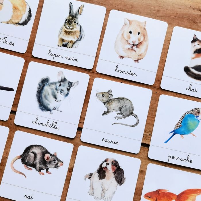 Les animaux domestiques cartes d'apprentissage montessori - Fait main ...