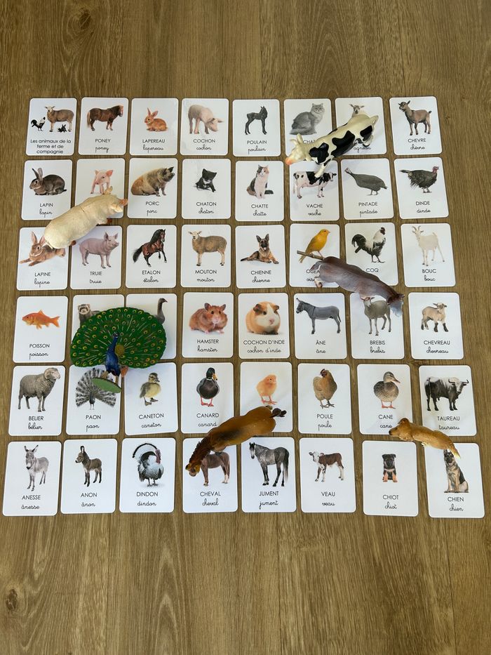 Cartes de nomenclature Animaux de la ferme et de compagnie - Montessori ...