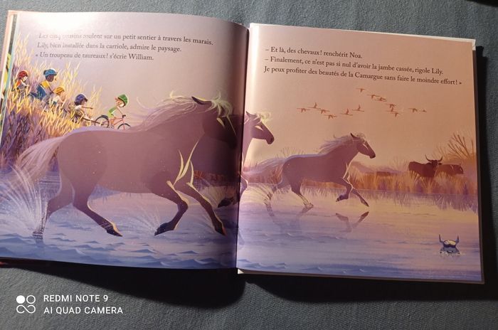Livre Album Enfant Mac Do Une Carriole Dans La Camargue Hachette